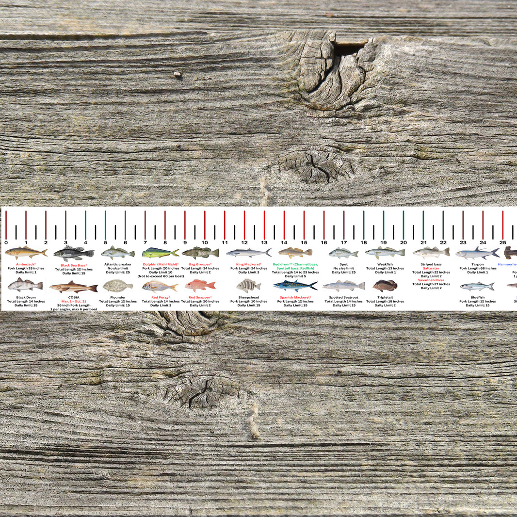 State Saltwater Rulers – Cajun Mapping