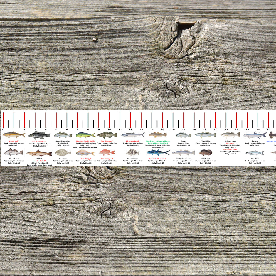 State Saltwater Rulers – Cajun Mapping