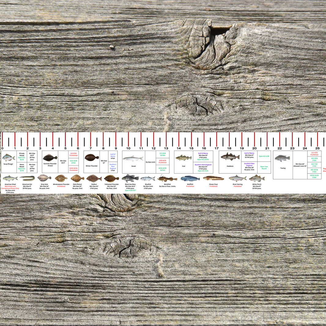 State Saltwater Rulers – Cajun Mapping