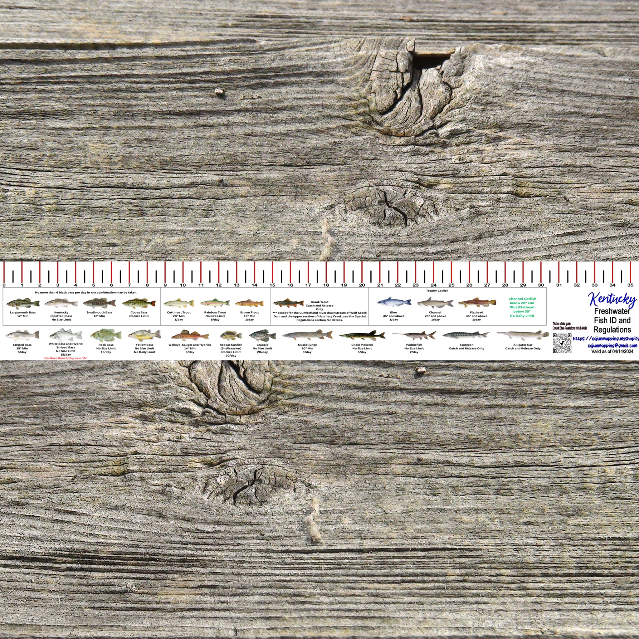 KENTUCKY FRESH WATER 36 INCH FISH ID AND STATE REGULATIONS FISH RULER ...