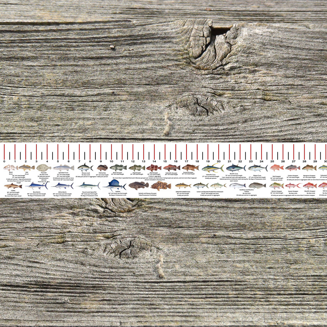 State Saltwater Rulers – Cajun Mapping