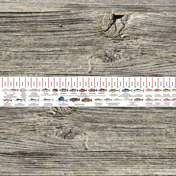 LOUISIANA SALT WATER RULER 50 INCH FISH ID AND STATE REGULATIONS FISH ...