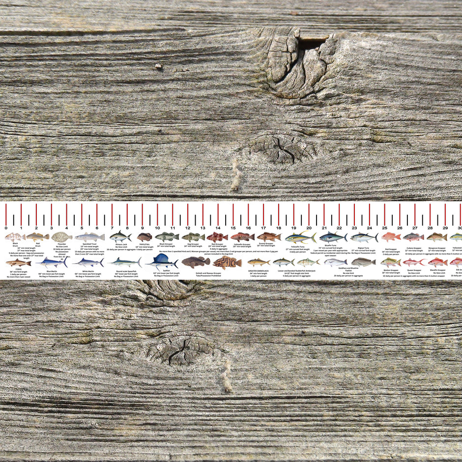 State Saltwater Rulers – Cajun Mapping