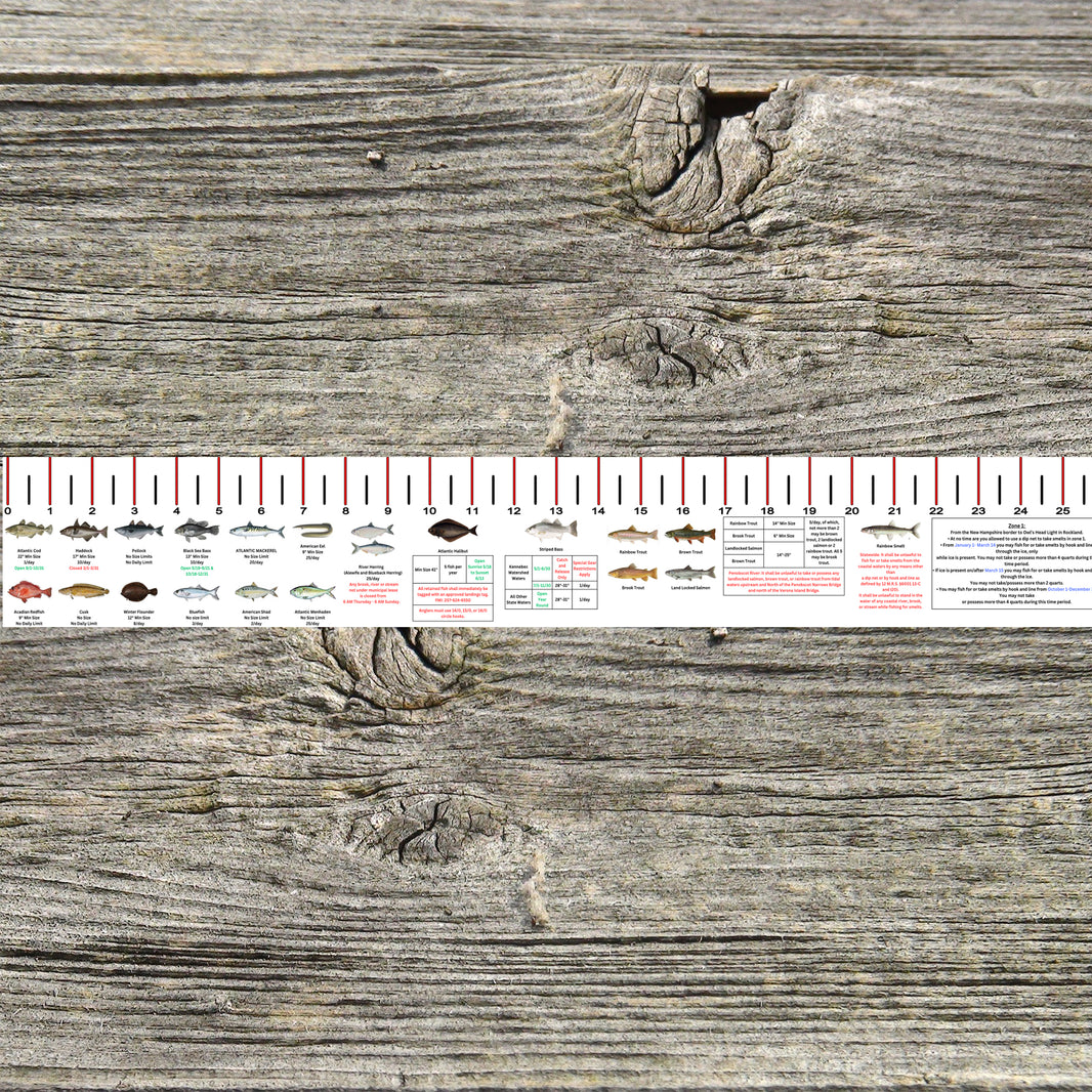 State Saltwater Rulers – Cajun Mapping