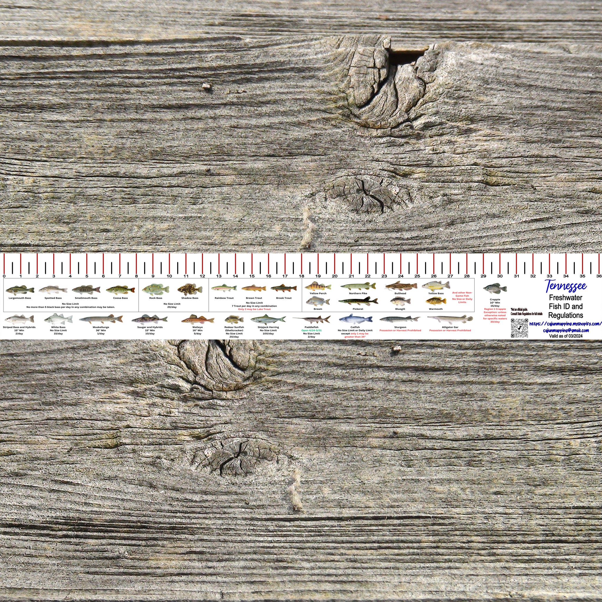 TENNESSEE FRESH WATER 36 INCH FISH ID AND STATE REGULATIONS FISH RULER ...