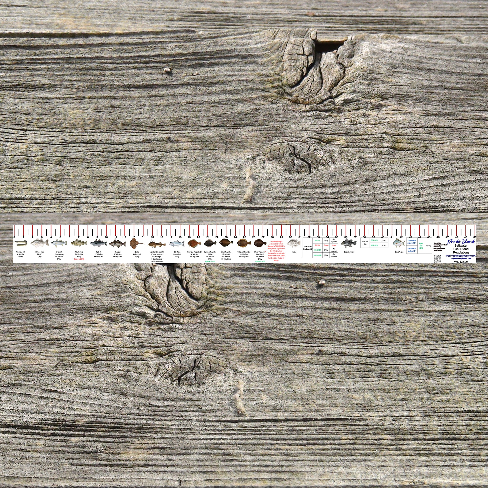 RHODE ISLAND SALT WATER RULER 50 INCH FISH ID AND STATE REGULATIONS FI ...