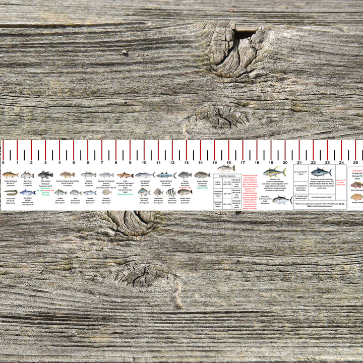 State Saltwater Rulers – Cajun Mapping
