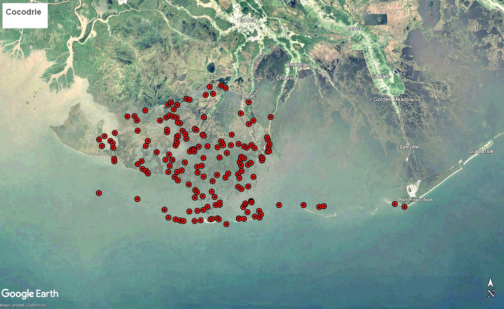 Cocodrie ~ Dulac ~ Dularge Inshore Hot Spots Fishing Map – Cajun Mapping