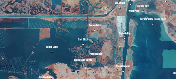 Laminated Calcasieu Lake (Big Lake) Fishing Map 24 x 36 inch – Cajun ...